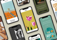 16 Brilliant Newsletter Examples to Inspire Your Own