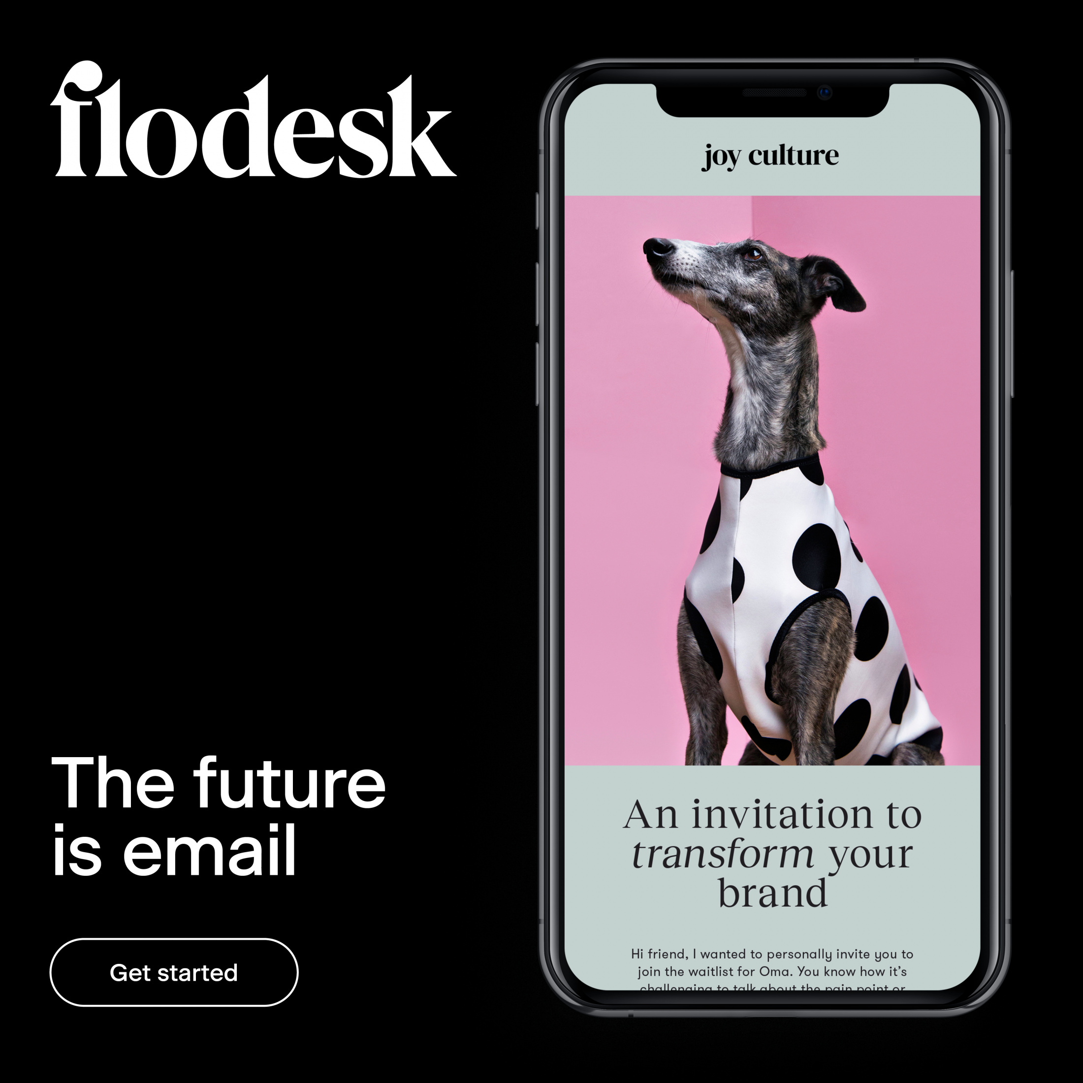 8 Loyalty Program Email Examples & Templates for Campaigns