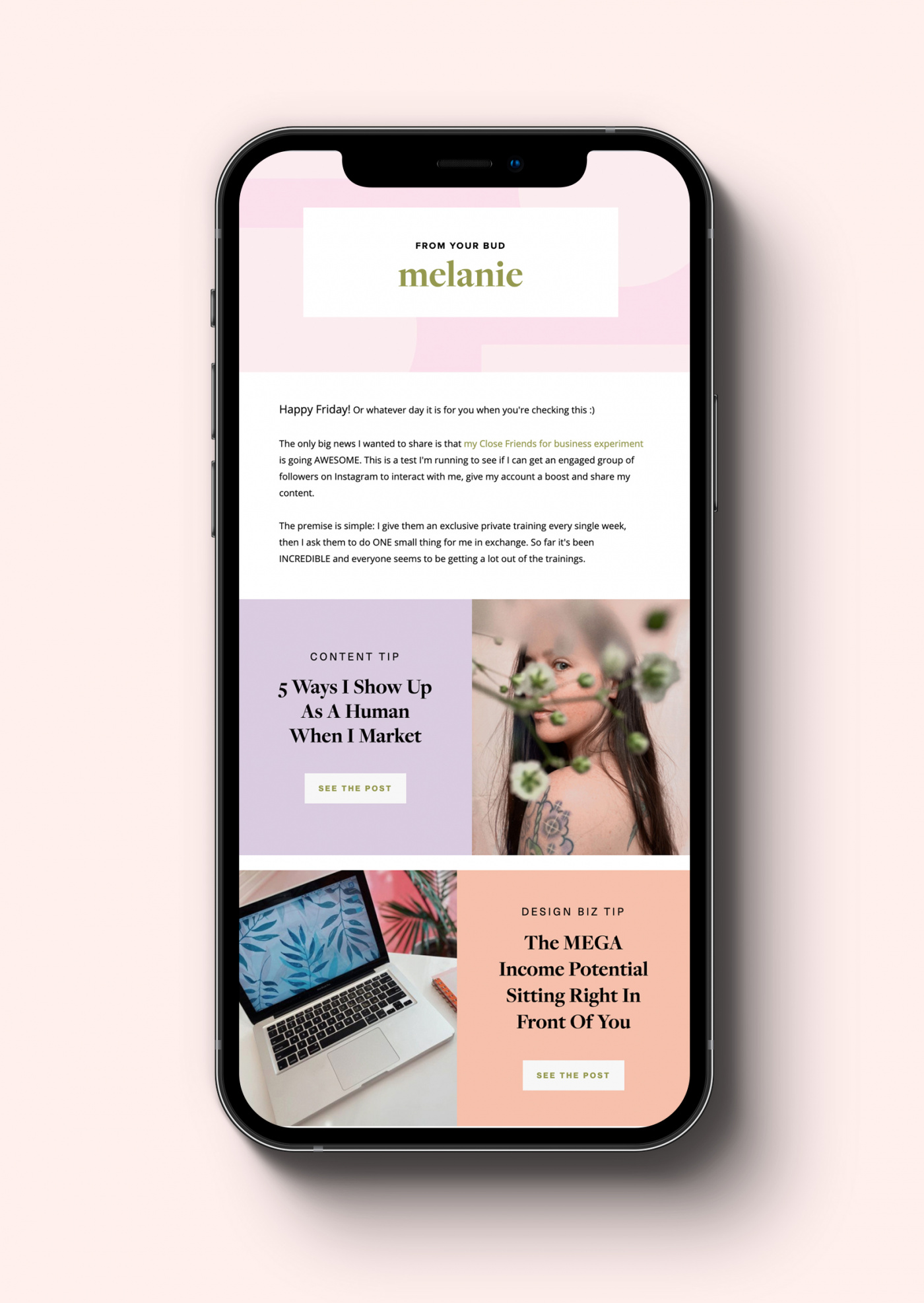 16 Brilliant Newsletter Examples to Inspire Your Own