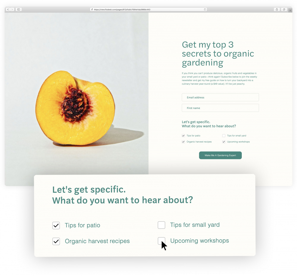 Email Marketing for Coaches | 10 Strategies for Success