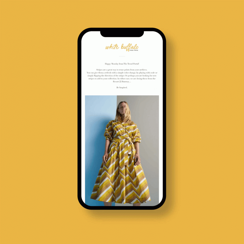 10 Fabulous Fashion Newsletter Examples & DIY Tips