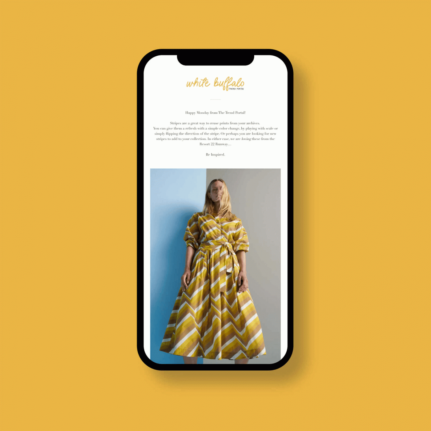 10 Fabulous Fashion Newsletter Examples & DIY Tips