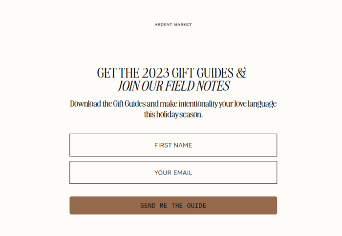 Newsletter Signup Tips & Examples to Gain More Subscribers