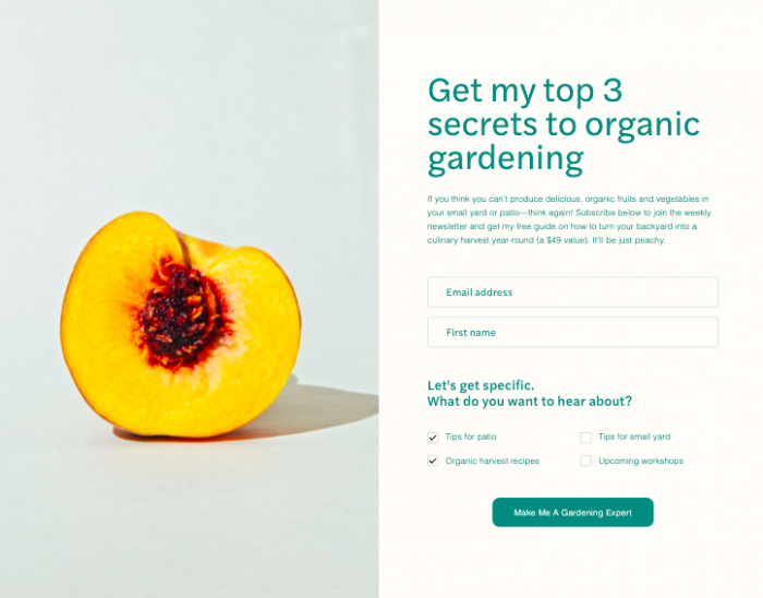 How to Grow Your Email List | Small Business Guide