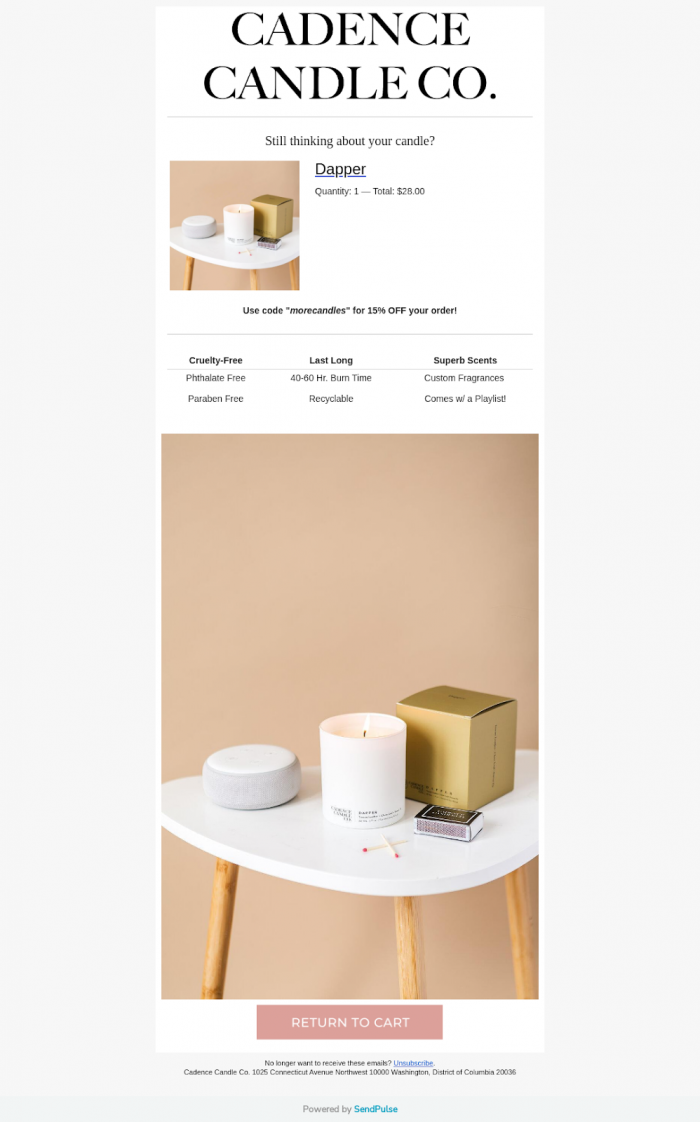 12 Great Abandoned Cart Email Examples & Why They Work