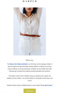 8 Loyalty Program Email Examples & Templates for Campaigns