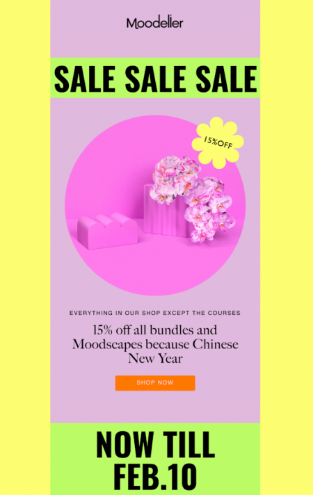 8 Loyalty Program Email Examples & Templates for Campaigns