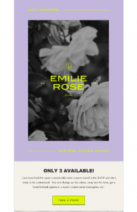 8 Loyalty Program Email Examples & Templates for Campaigns