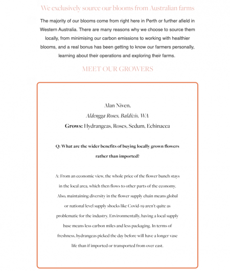 7 Email & Newsletter Branding Ideas to Boost Brand Awareness