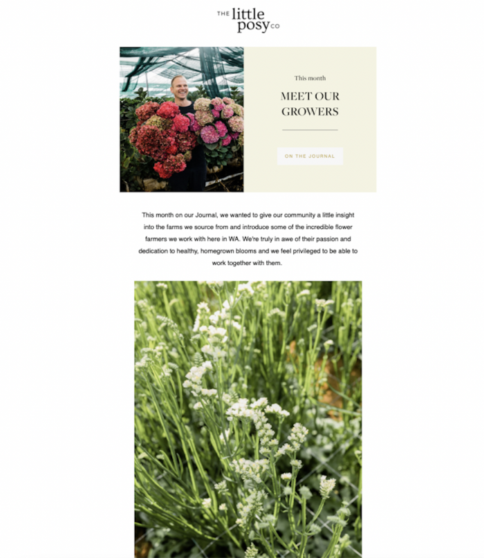 15 Lead Nurturing Email Examples Getting It Right