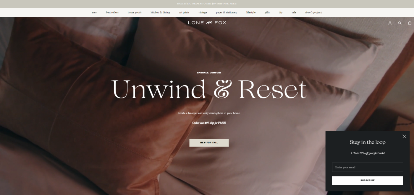 Crafting the Perfect Newsletter Popup | Tips & Examples