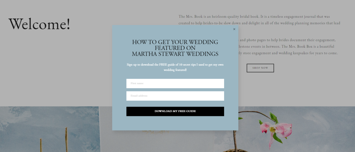 Crafting the Perfect Newsletter Popup | Tips & Examples