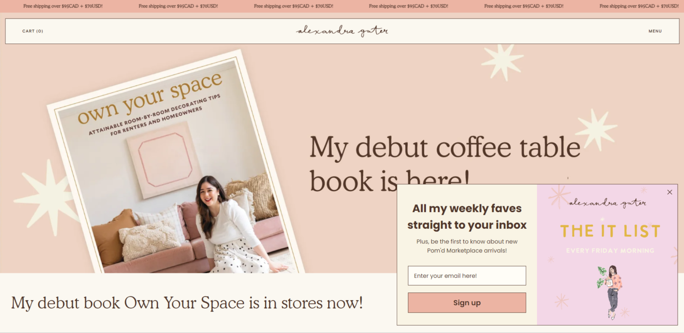 9 Standout Website Pop-up Examples of 2024